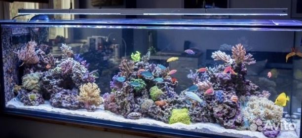 Морской аквариум 700 литров