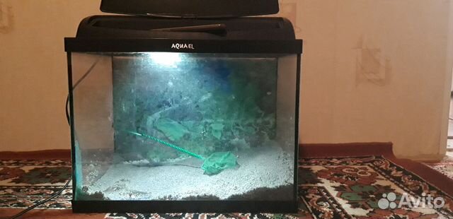Аквариум и все к нему