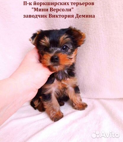 Мальчик с пальчик