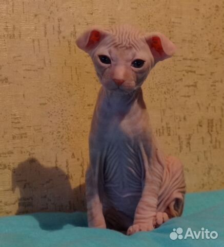 Маленький инопланетянин