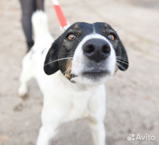 Обаятельная Мальвинка