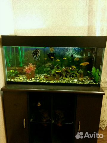 Аквариум 200л