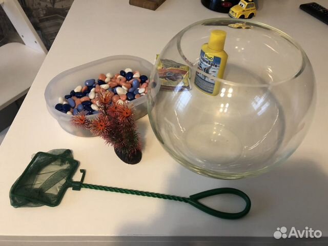 Аквариум круглый