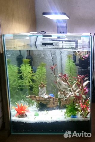 Аквариум Aquael Shrimp Set Smart 30л
