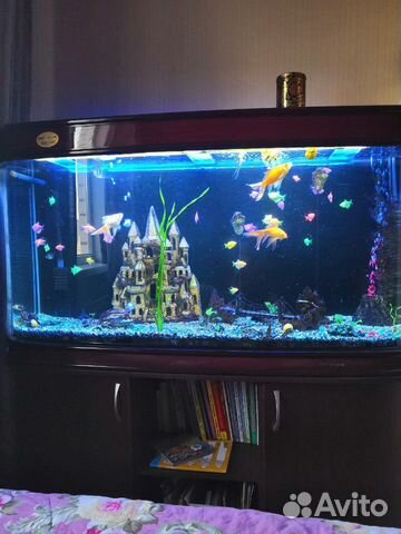 Аквариум 375л