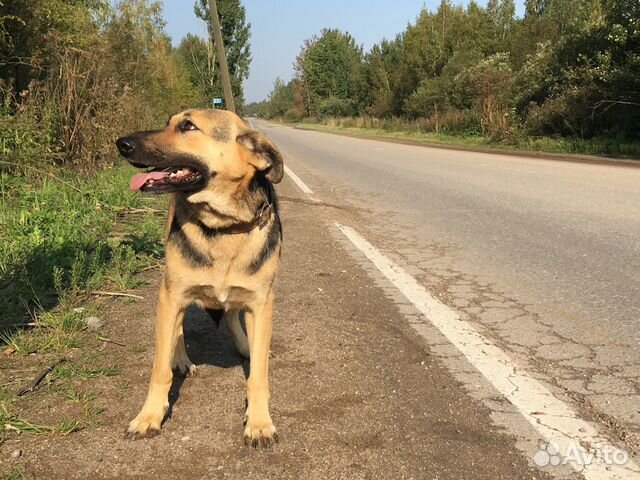 Великолепная девочка-охранница