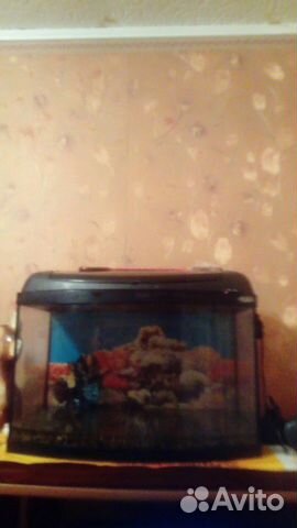 Аквариум pearl