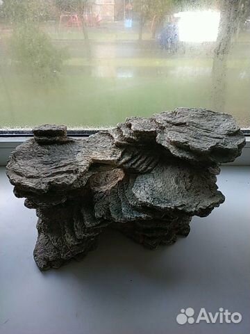 Остров для черепашки