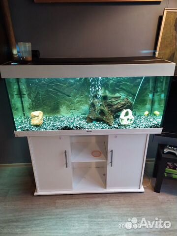 Аквариум Juwel 240