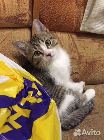 Малышка ждёт тебя