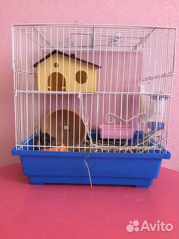 Хомячок Хома