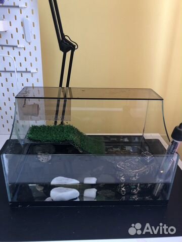 Аквариум с черепашкой отдам