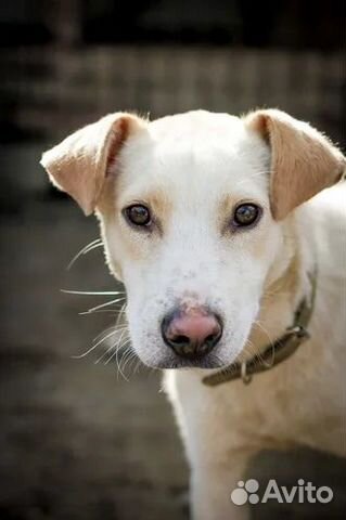 Макс ждёт своего человека