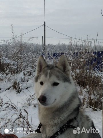 Предлагается кабель на вязку
