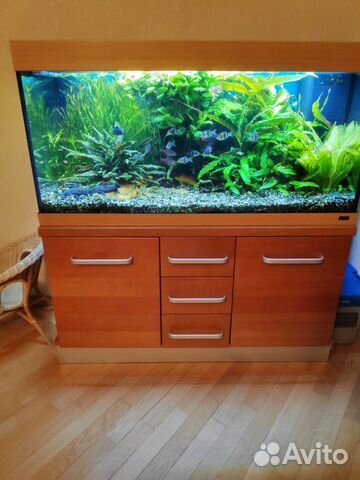 Juwel Rio 350 + тумба + фильтр