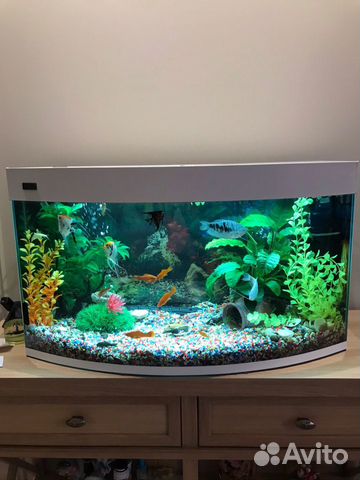 Отличный подарок детямпродаётся панорамный Белый А