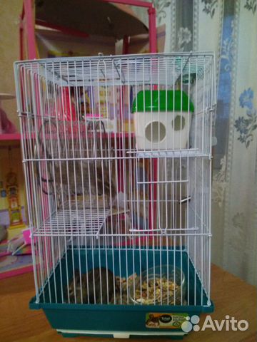 Чилийские белки