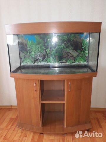 Б\у аквариум 150 л. с тумбочкой, наружным фильтром