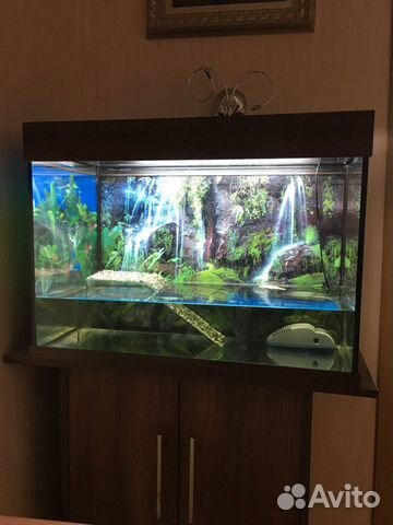 Аквариум
