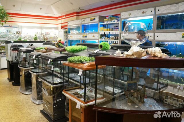 Аквариум 10л, 15лл, 53л.с рыбками и инвентарем