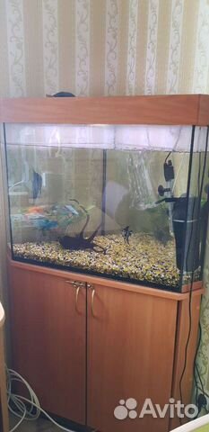 Аквариум угловой с тумбой