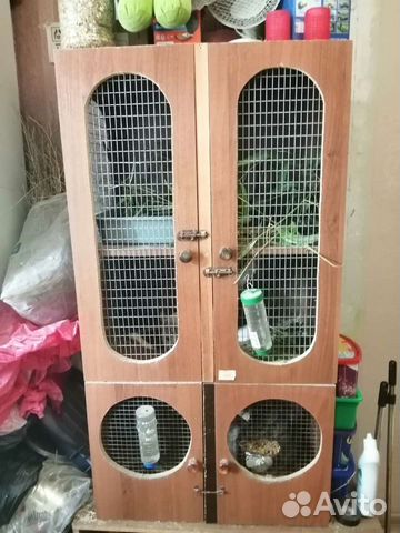 Клетка с шиншиллами
