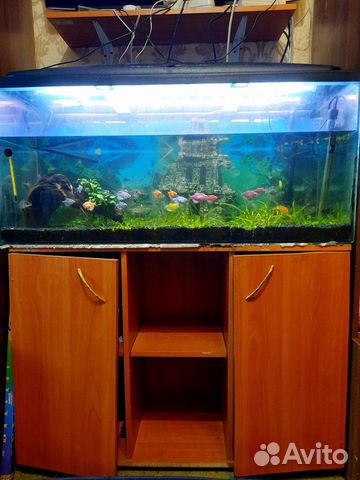 Аквариум