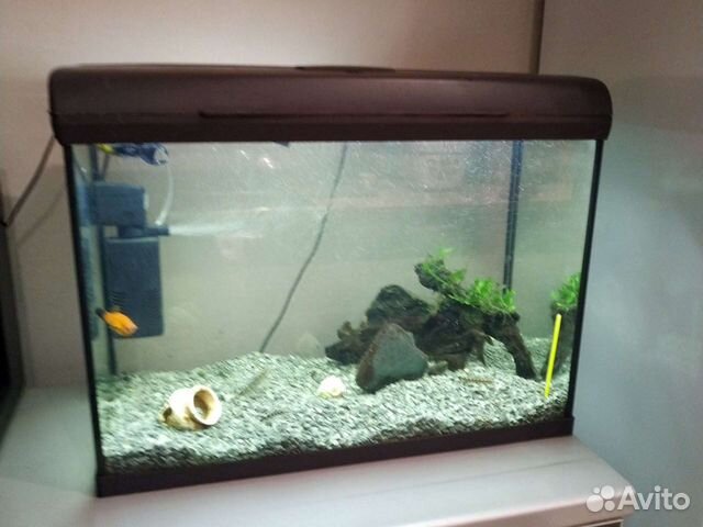 Аквариум