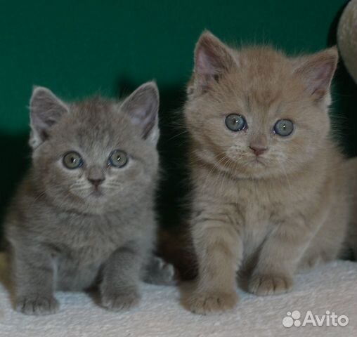Классика британская