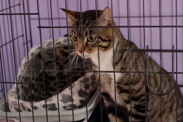 Кузьма в самые добрые руки