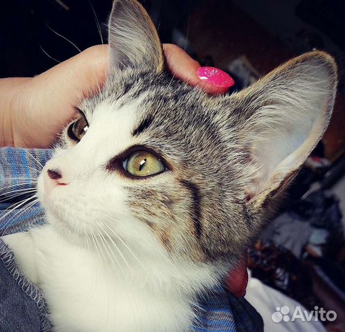 Малышка Люси