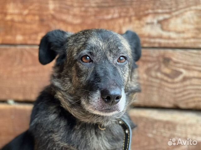 Баллин ждет человека,который ее спасет