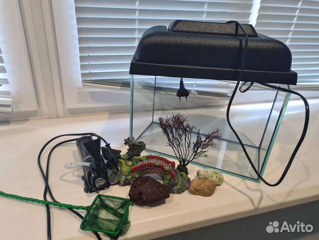 Аквариум /фильтр /украшения