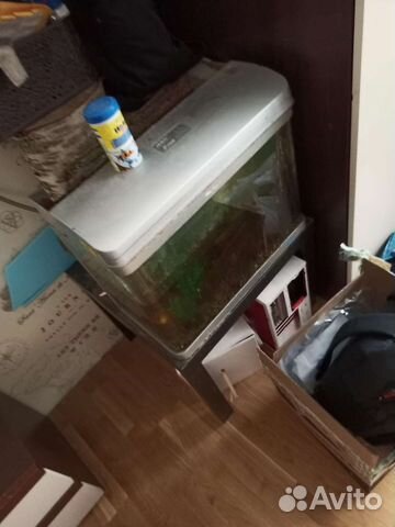 Аквариум с полным комплектом