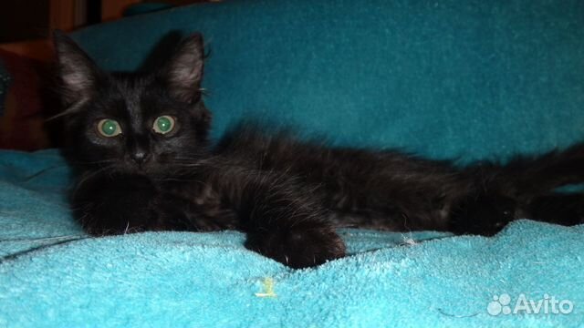 Черная Пантера девочка