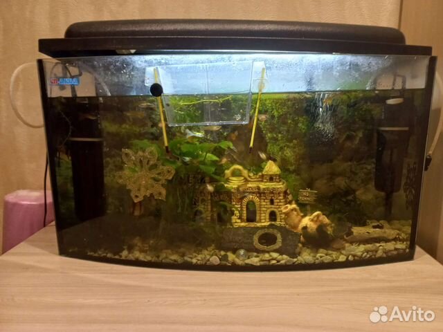 Аквариум