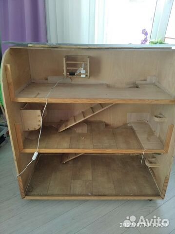 Две морские свинки вместе с огромным стелажом