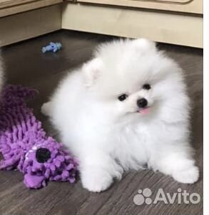 Ваша счастливая улыбка