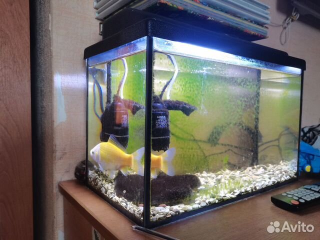 Аквариум
