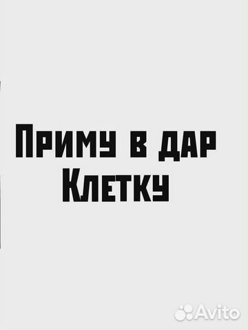 Клетка для крысы