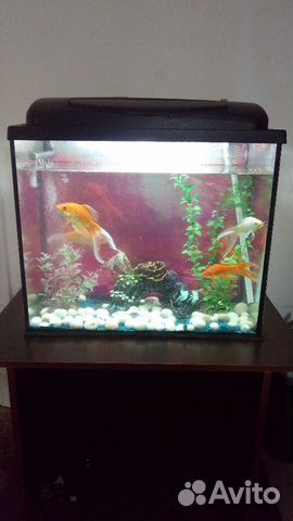 Продам аквариум 90 литров б/у
