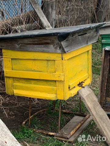 Пчелы матки инвентарь