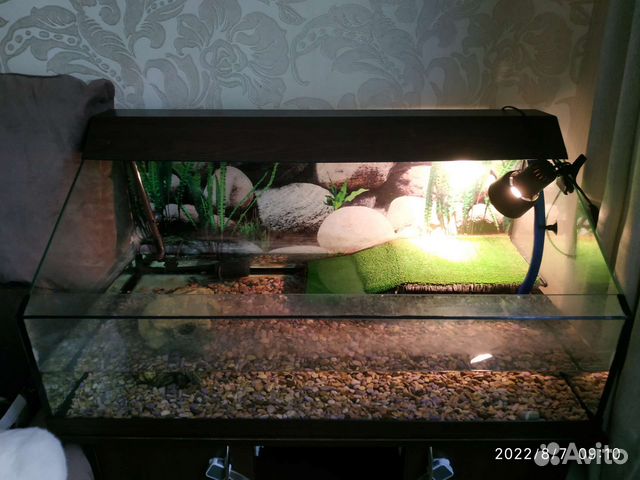 Террариум для красноухой черепахи, фильтр