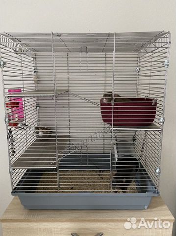 Крыски с клеткой