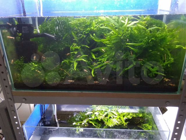 Аквариумная стойка