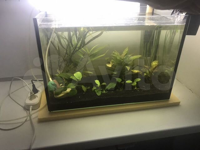 Аквариум 50 литров